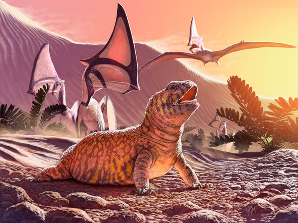 Rosa Rubicondior: August 2015