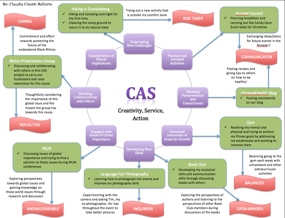 CAS blog at SIS 2017 - 19: Demonstrating that you reached the ouctomes