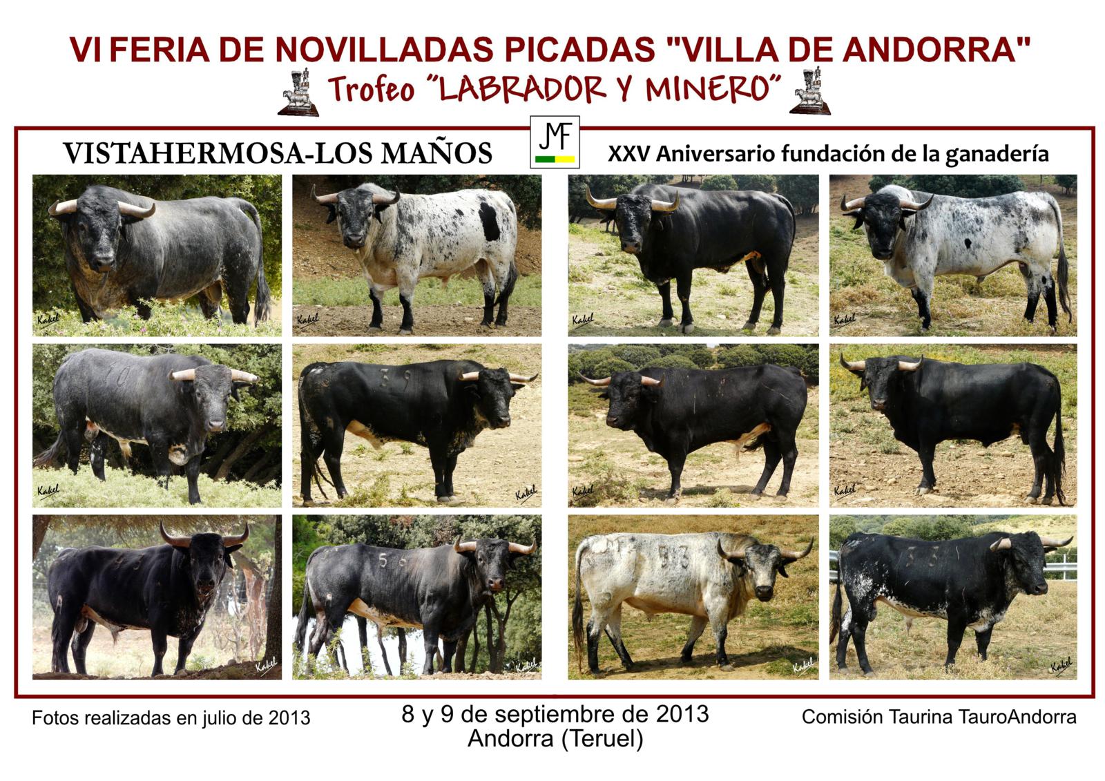 FOTOS Novillos reseñados para la Feria de Novilladas de Andorra (Teruel ...