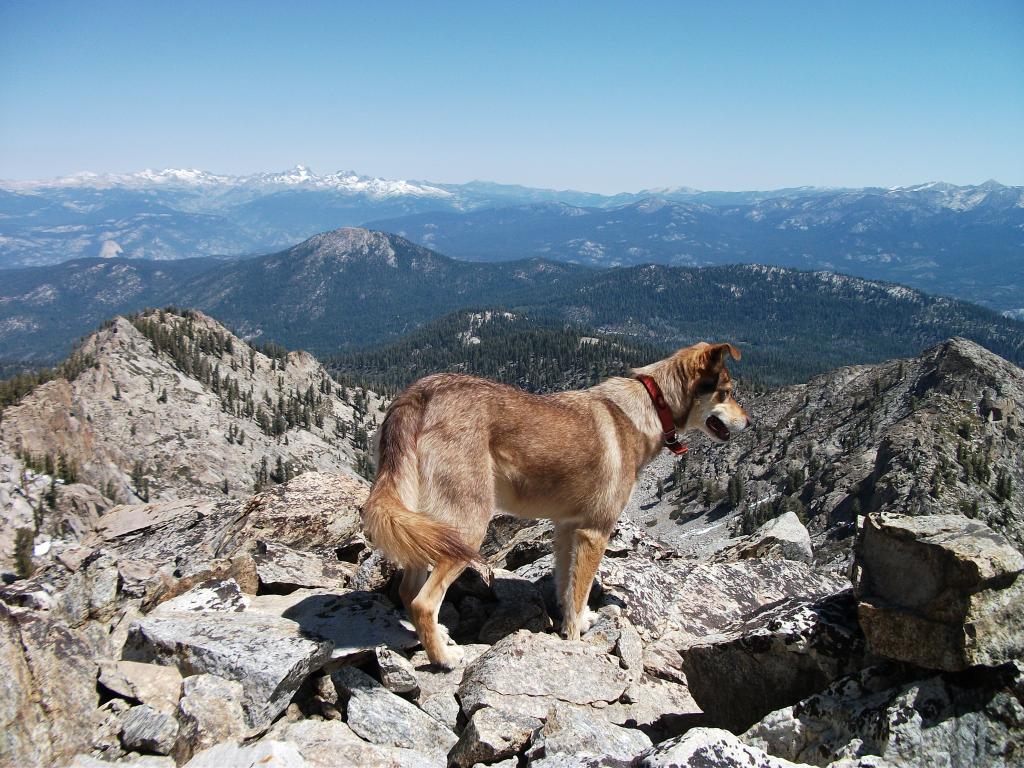 Hiking and Climbing Adventures: Mt Ritter Pictures from Supertopo ...