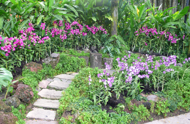 Tropical Garden and Landscape: Professionally Designed Indoor and ...