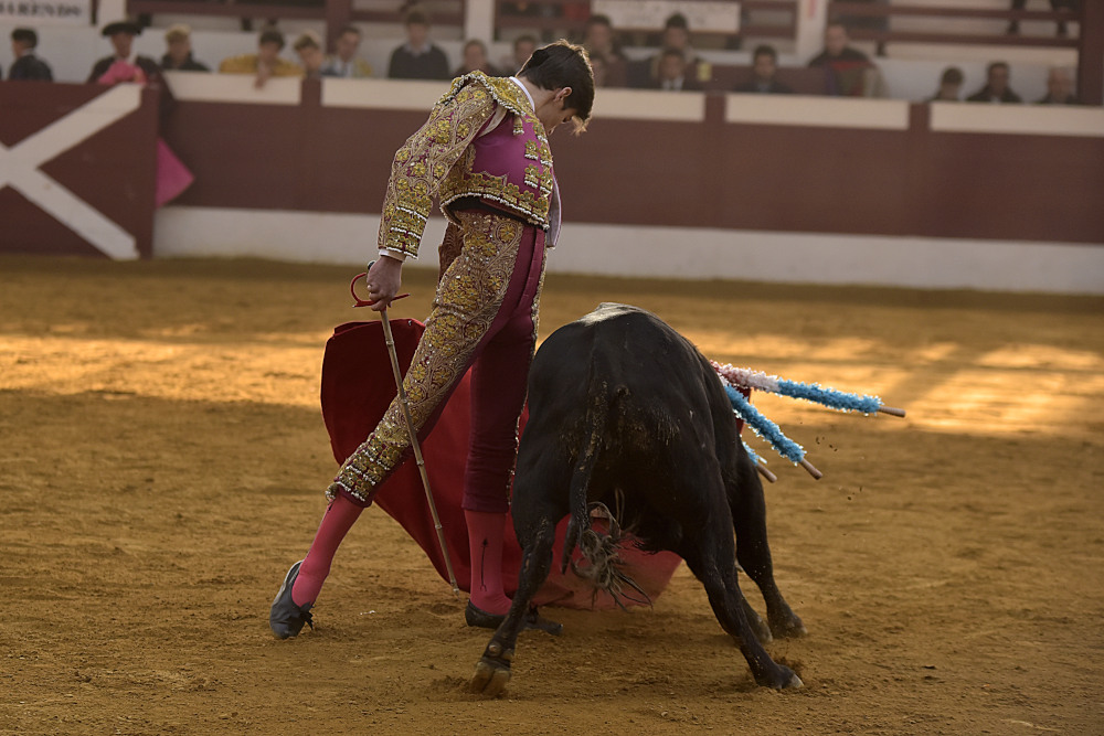 Triomphe d'Antoine Madier à la non-piquée de Samadet