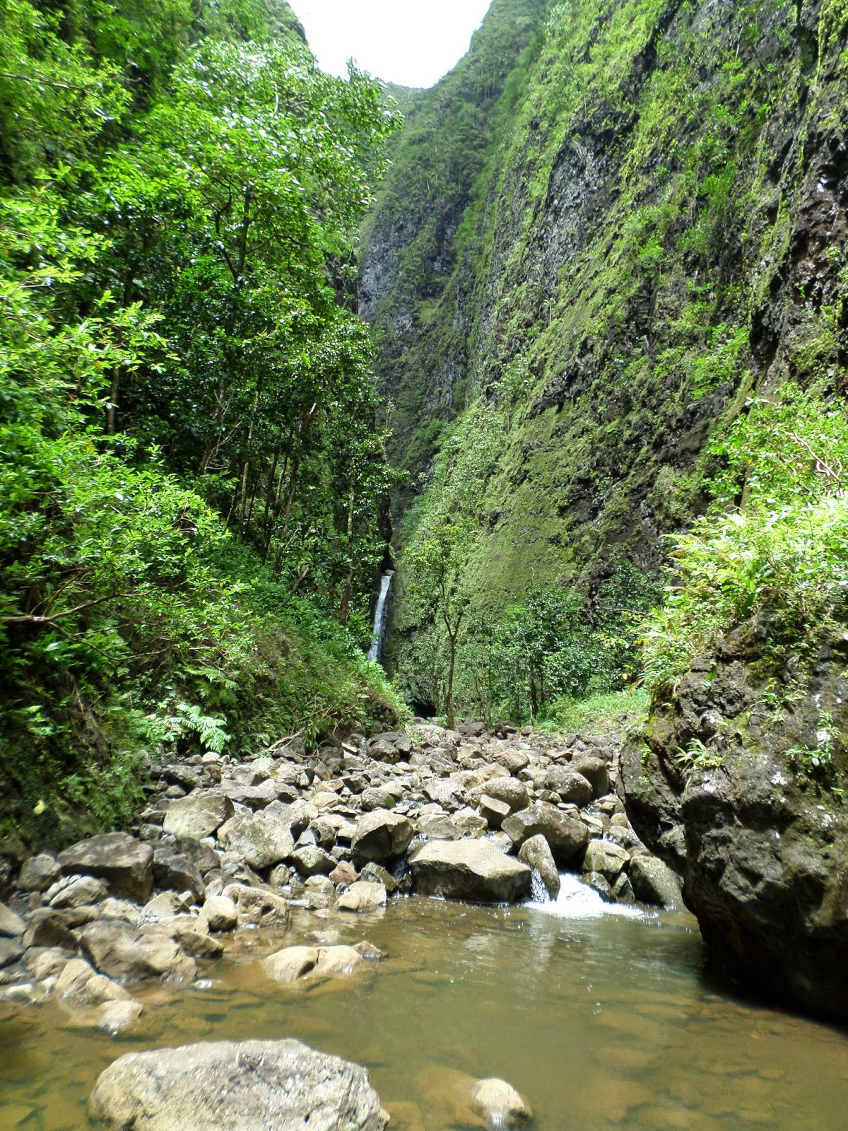 Ketvirta diena Oahu- Sacred Falls ir Byodo-In Temple | Skraidančio ...