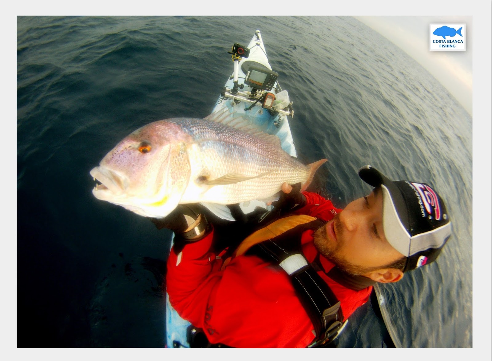 COSTA BLANCA FISHING .: PESCA AL VIVO-DENTON PELEÓN