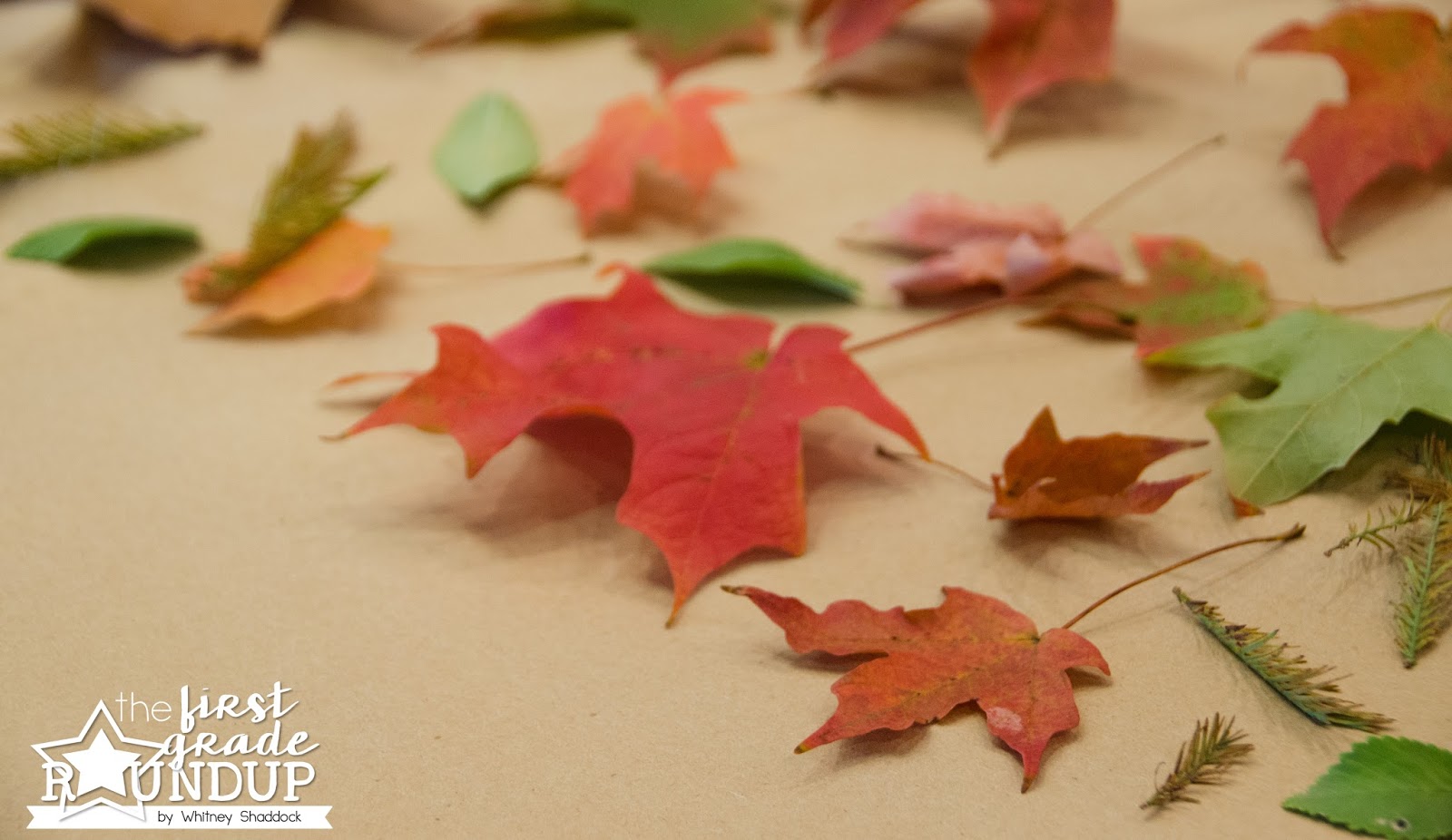 4 simple fall leaves preschool crafts & science activities - The First ...