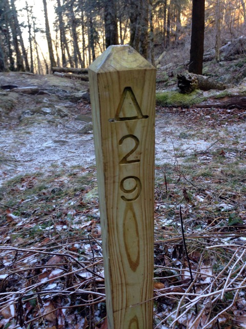 900 miles: Maddron Bald and Albright Grove Loop Trails