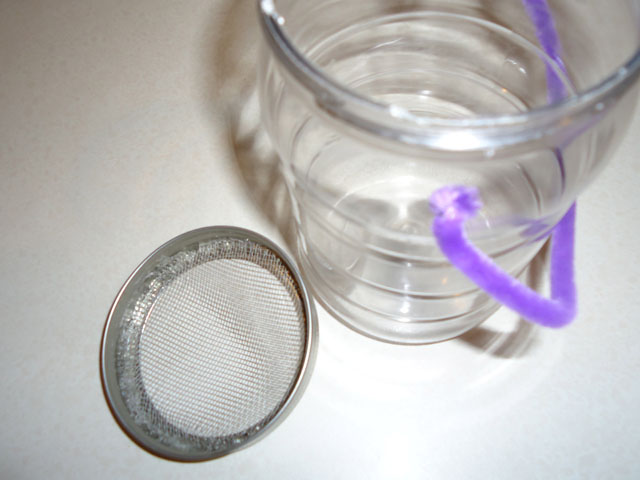 Bug Jar - Blessings Overflowing