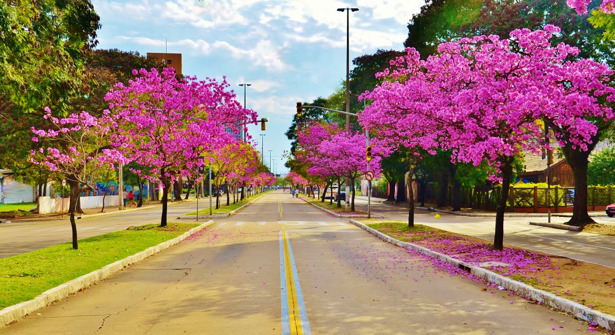 BIBLIOTECA ETS: PRIMAVERA 2014