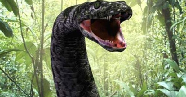 LA MAZACUATA ASESINA | Leyendas, narraciones y sucesos extraordinarios ...