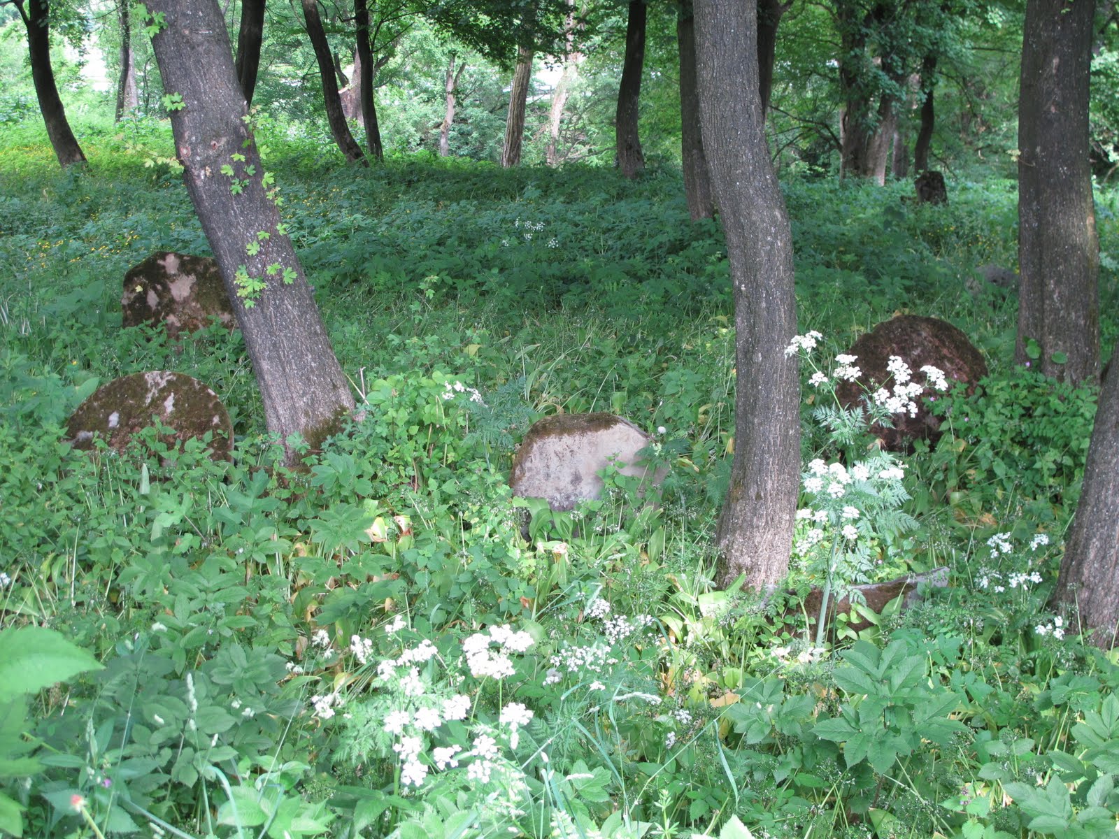 Jewish Heritage Travel: Poland -- visit to Dukla