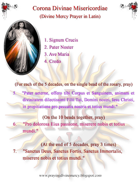 Divine Mercy Prayers: Divine Mercy Prayer in Latin (Corona Divinae ...