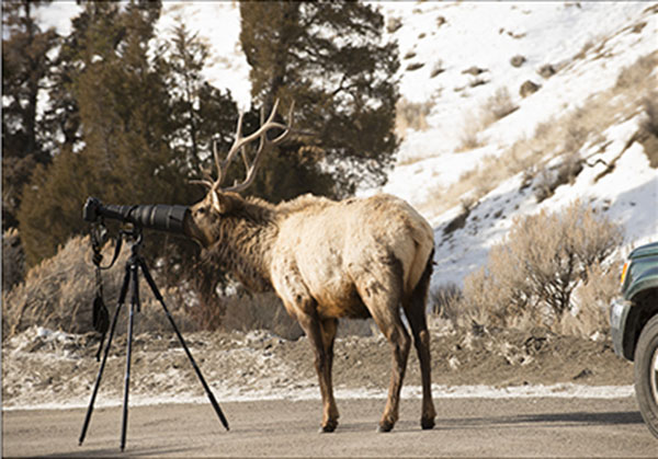 The FACzen Image: March 2013