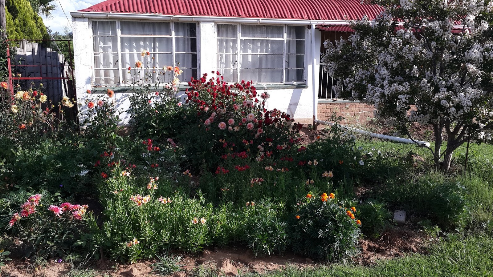 Paul Roux Village: GARDENS OF PAUL ROUX VILLAGE IN THE FREE STATE