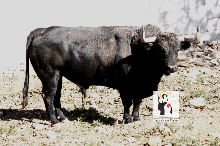ESPAI TAURÍ: Festes Sant Vicent Ferrer 2011. Vall d´Uixó