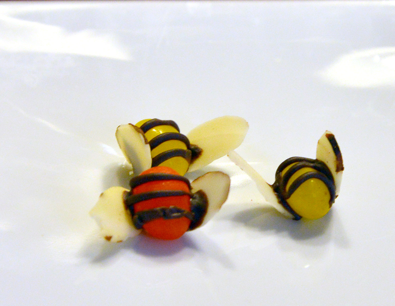 A school of fish: Honeybee Celebration