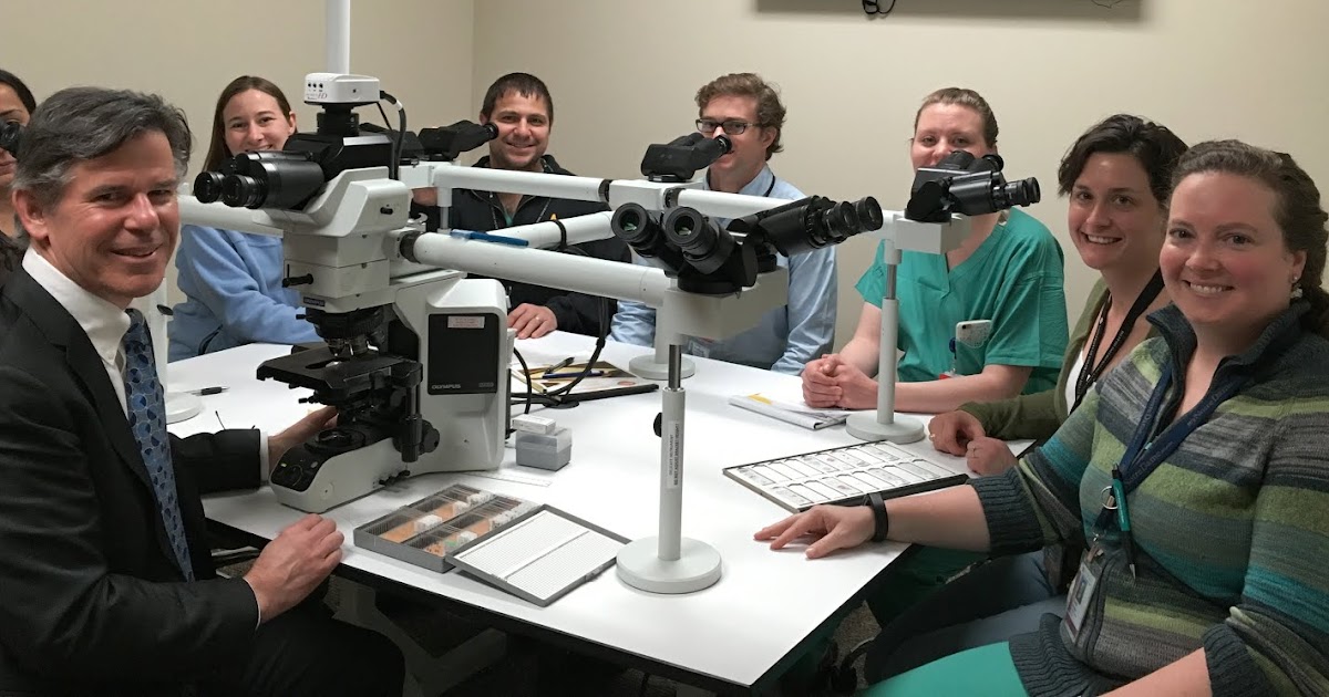 neuropathology blog: Ophthalmologist and Eye Pathologist David Wilson ...