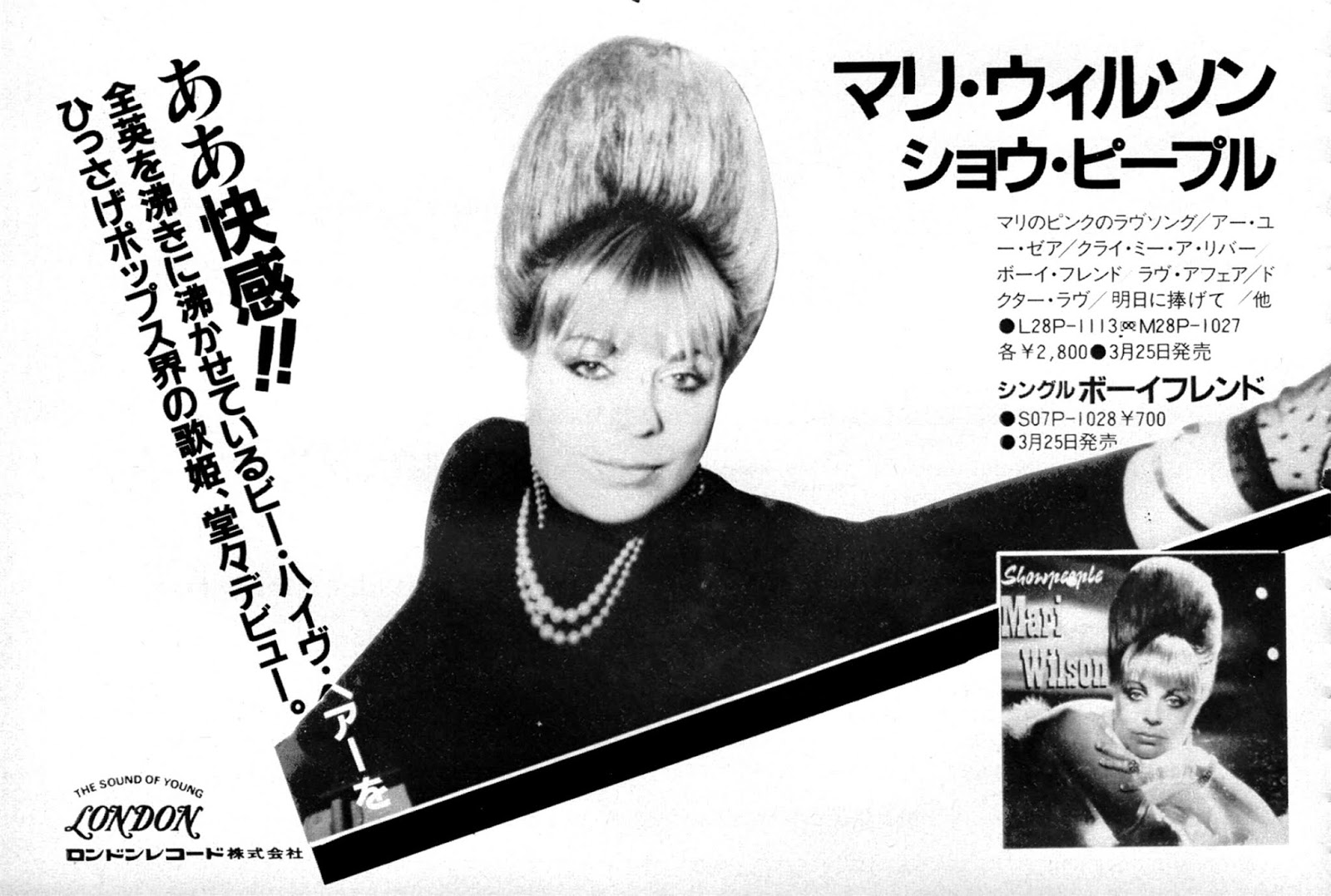 Lansure's Music Paraphernalia: MARI WILSON