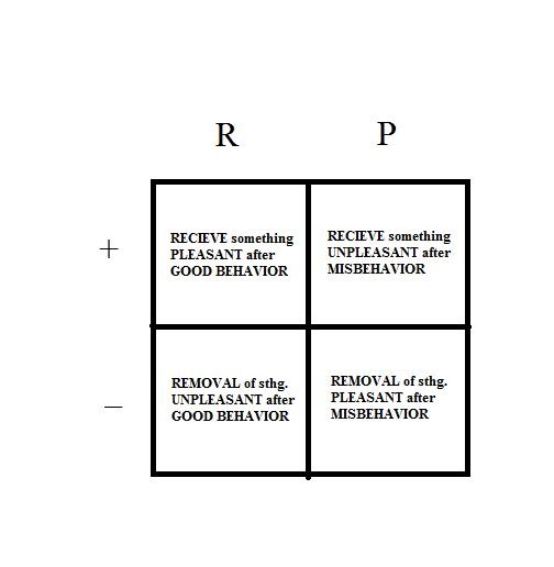 Psychology From The Guinea Pig: Operant Conditioning Square