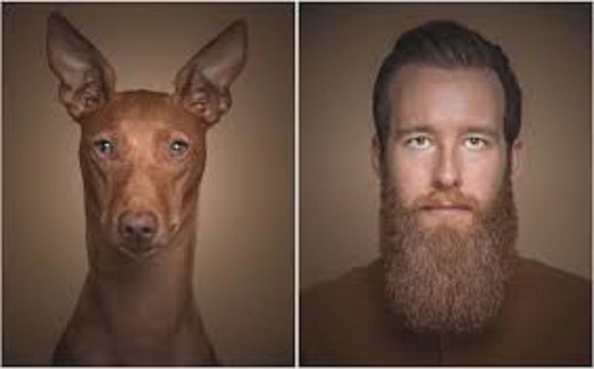 Science reveal that Dogs look like their owners - Doglopedix