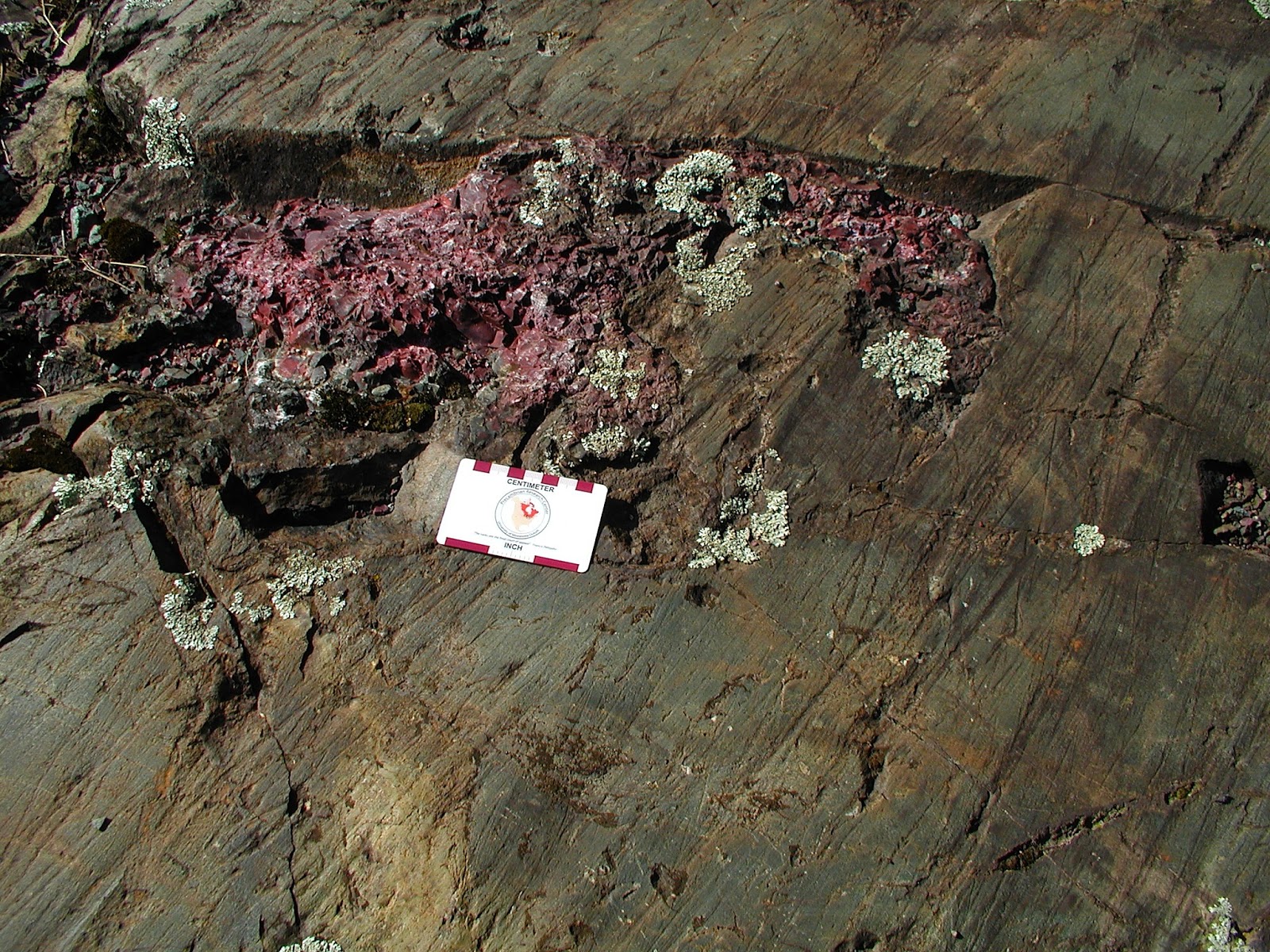 earthscienceguy: Minnesota Geology Monday - Pillowed Greenstone