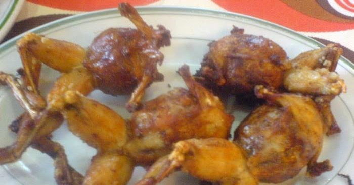 .: Menakjubkan! ini Manfaat Luar Biasa Daging Kodok Bagi Kesehatan