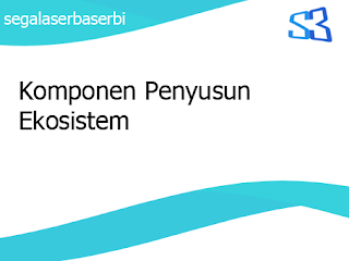 Komponen Penyusun Ekosistem - SERBA SERBI