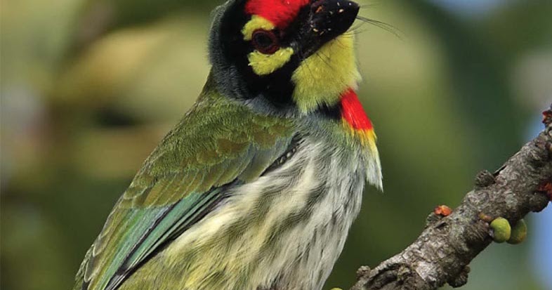 ஆகாயம் புக்ஸ்