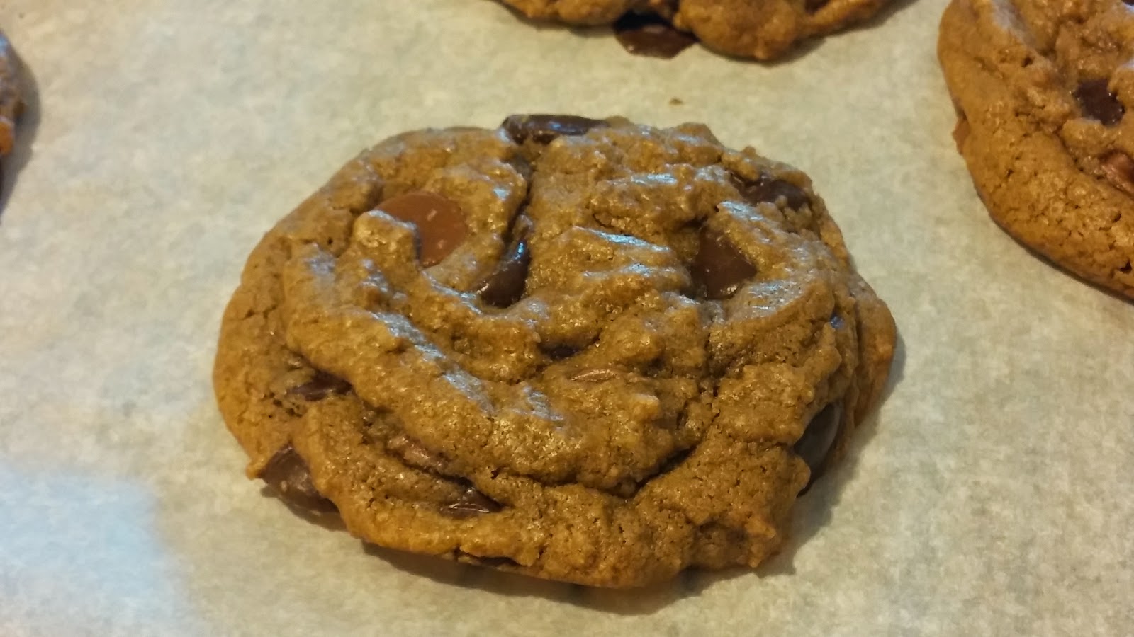 GingerBuilders: Megan’s Chocolate Craving Cookies