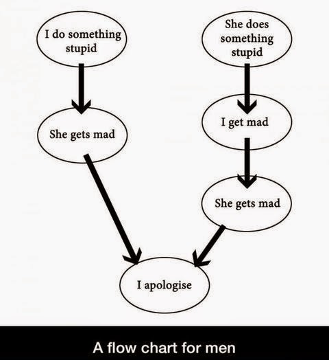 I Have Seen The Whole Of The Internet: Flow Chart For Men