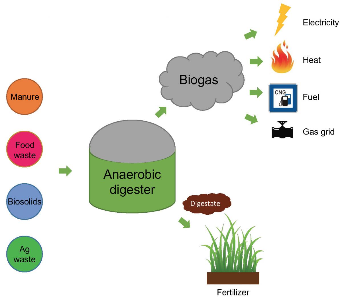 Living the Green Dream: Biodigester at Fat Beet Farm