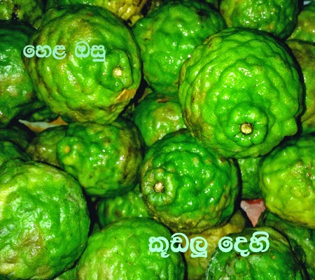 Hela osu: කූඩලු දෙහි, kudalu dehi