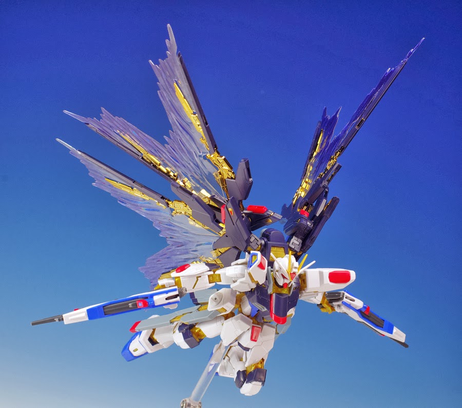 GUNDAM GUY: P-Bandai Online Hobby Shop Exclusive: RG Strike Freedom ...