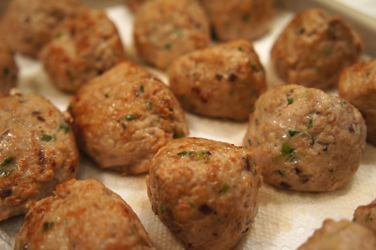 Tofu, Napa Cabbage, Black Cod and Meatball Hot Pot