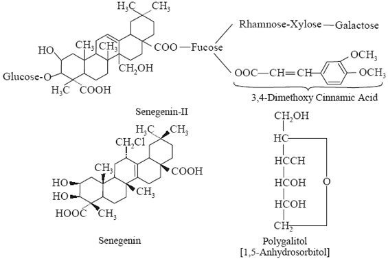 Senega-Synonyms Senega snakeroot; Seneca snakeroot; Rattlesnake root ...