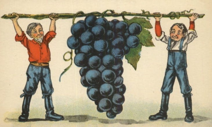 Everyday Dutch Oven: Foccaccia with Rosemary and Grapes