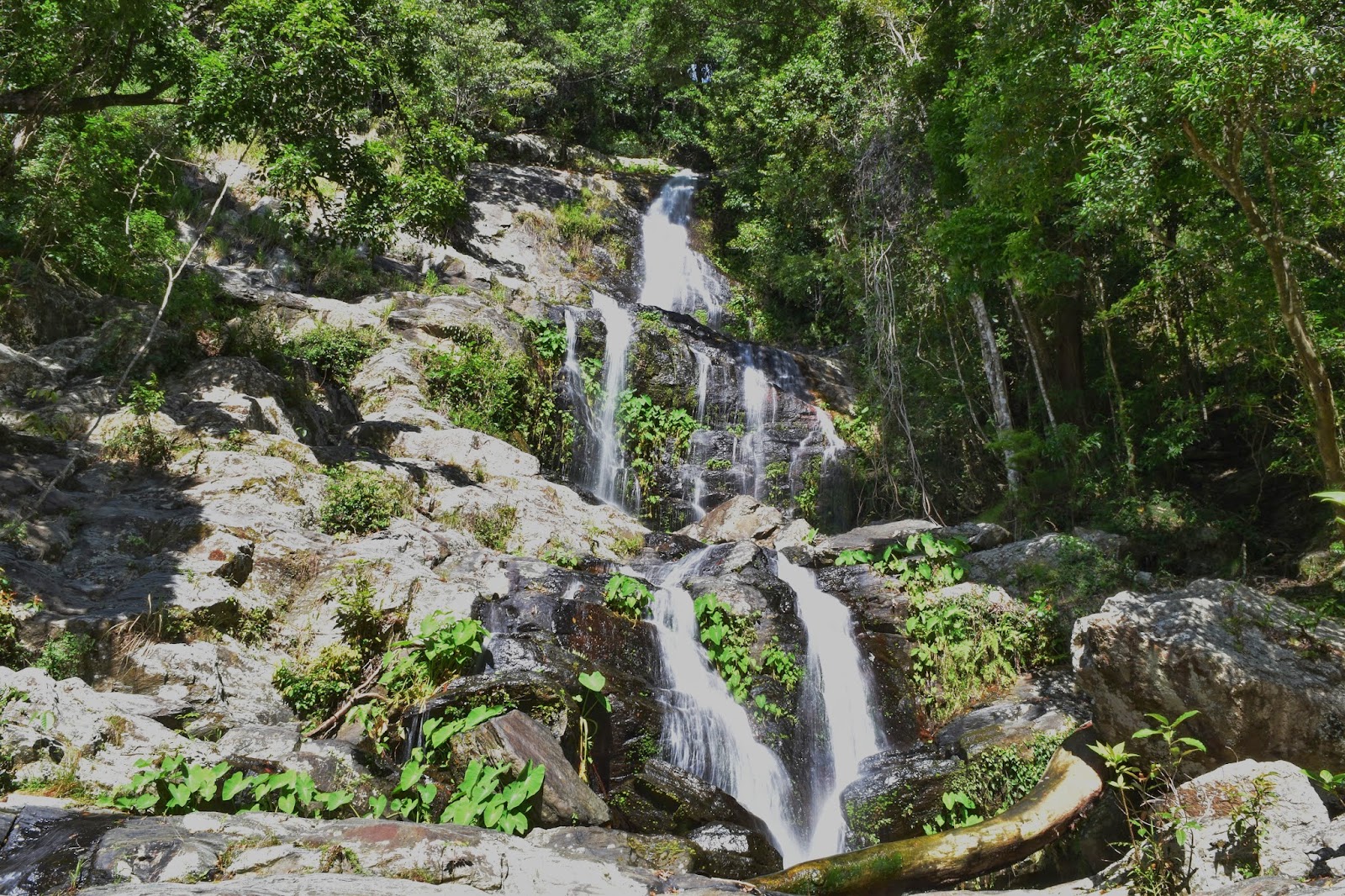 To Catch Sight Of.: Isabella Falls