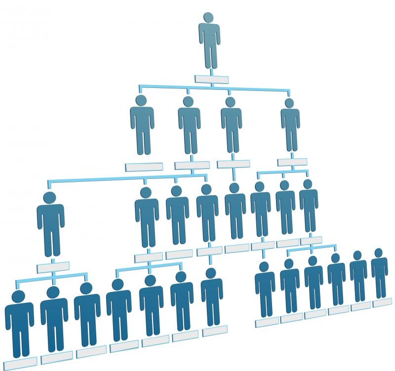 ORGANIZATION AND ORGANIZATIONAL STRUCTURE ~ Nursing Path