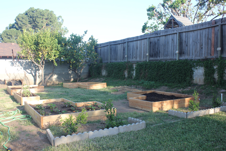 Clearwater Cottage: How to Build an "L" Shaped Raised Garden Bed