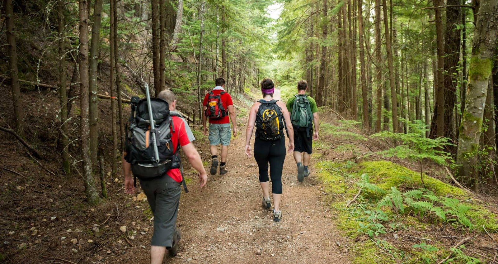 alasan mendaki gunung