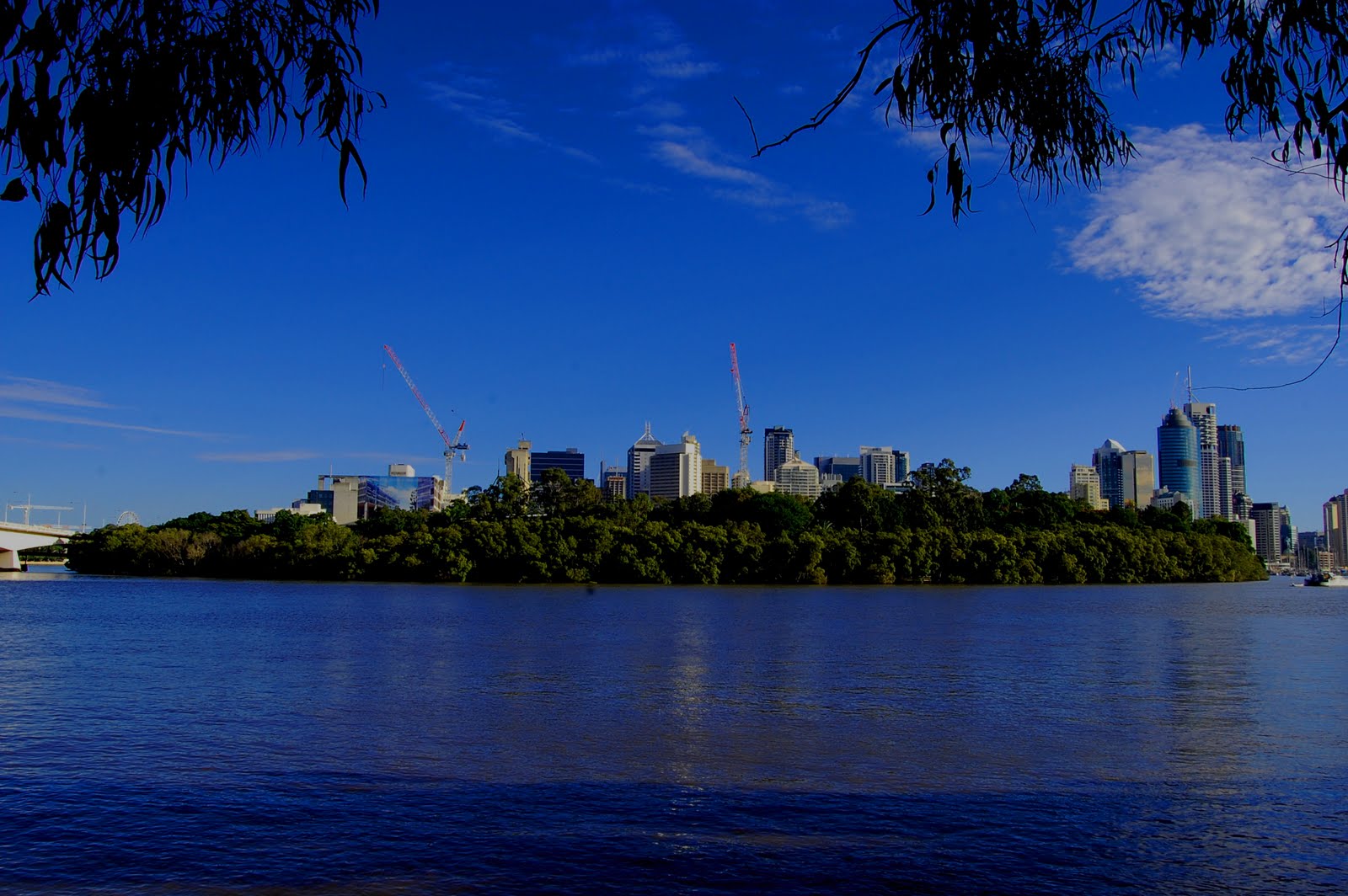Brisbane Daily Photo : Here's a nice view...