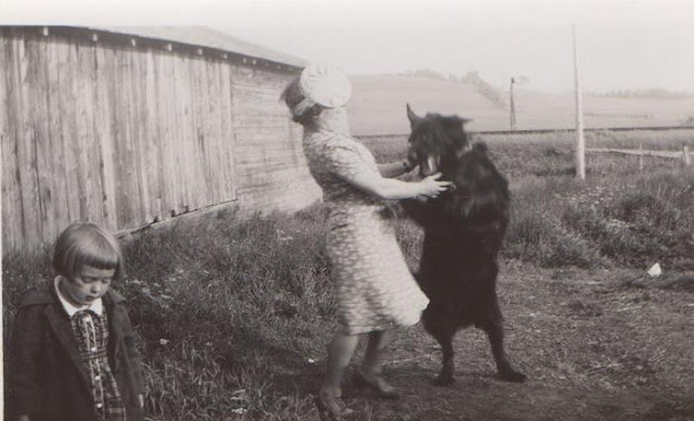 People Who Love Monkeys and Other Animals That Aren't Dogs or Cats ...