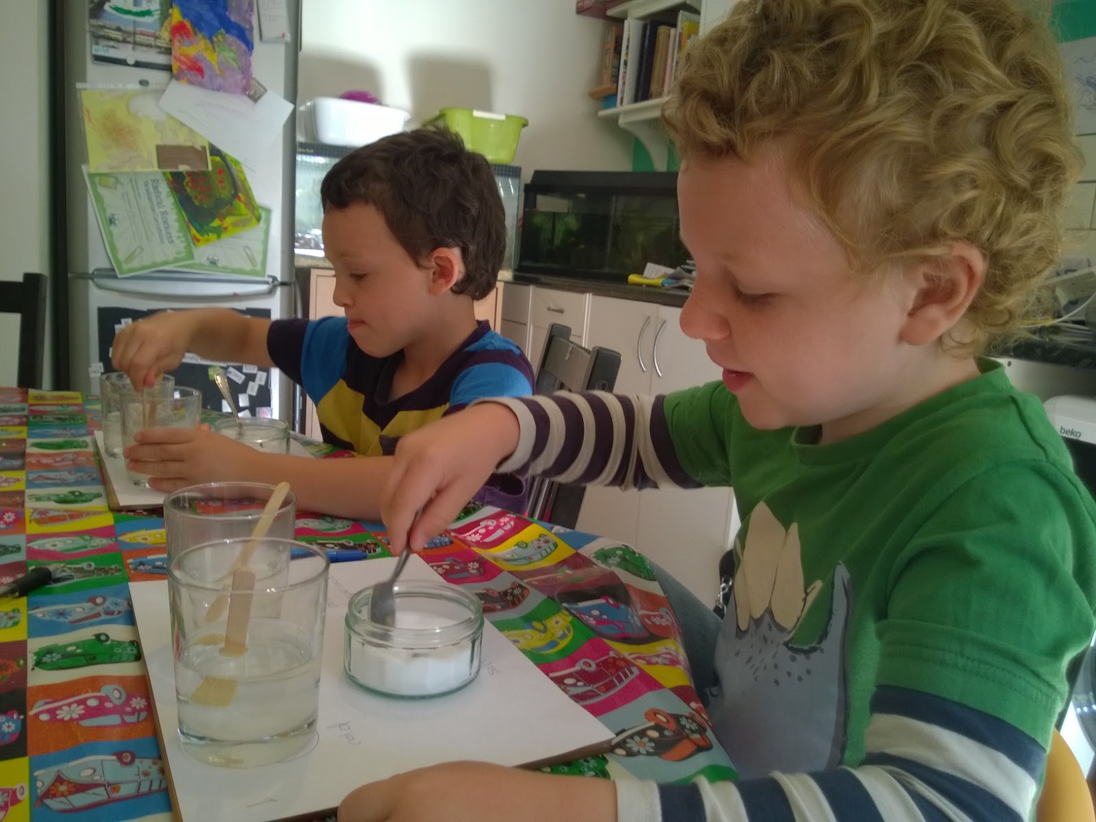 The Maz Shack (#2): Easy science experiments with table salt