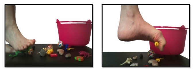 Exercise of the Day: Day 2 - The Great Toe Pick Up