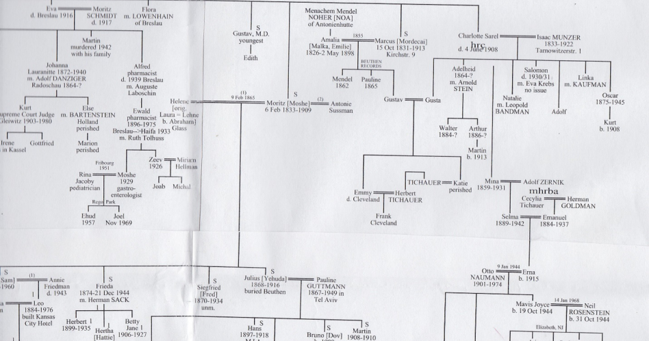 Neil Rosenstein: The Ancestry of Mavis nee Naumann
