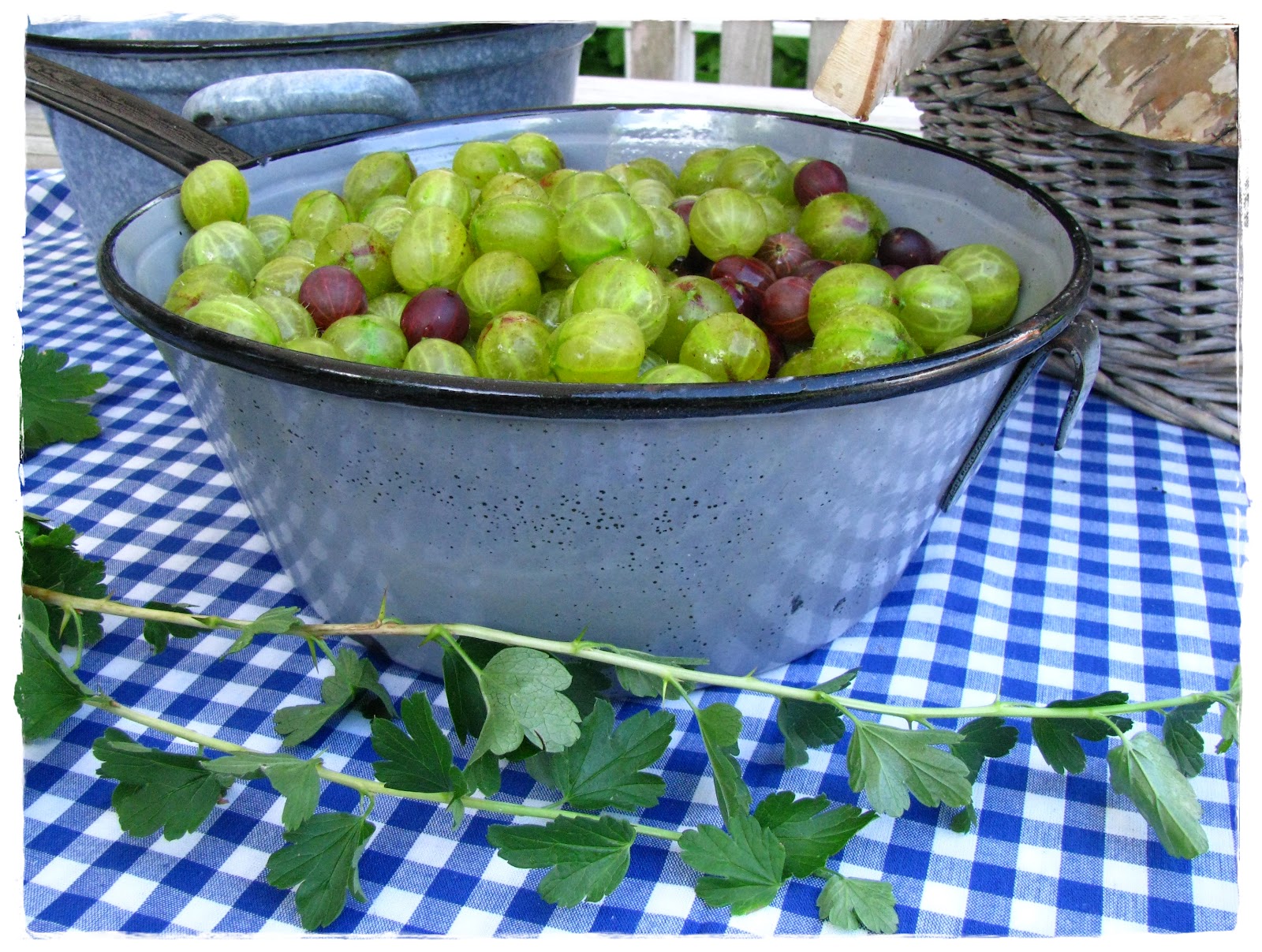 Hoorn Des Overvloeds: Kruisbessen