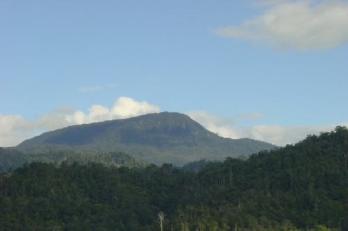 Top 5 Must Do Adventures in Malaysia - Amazing Traveller