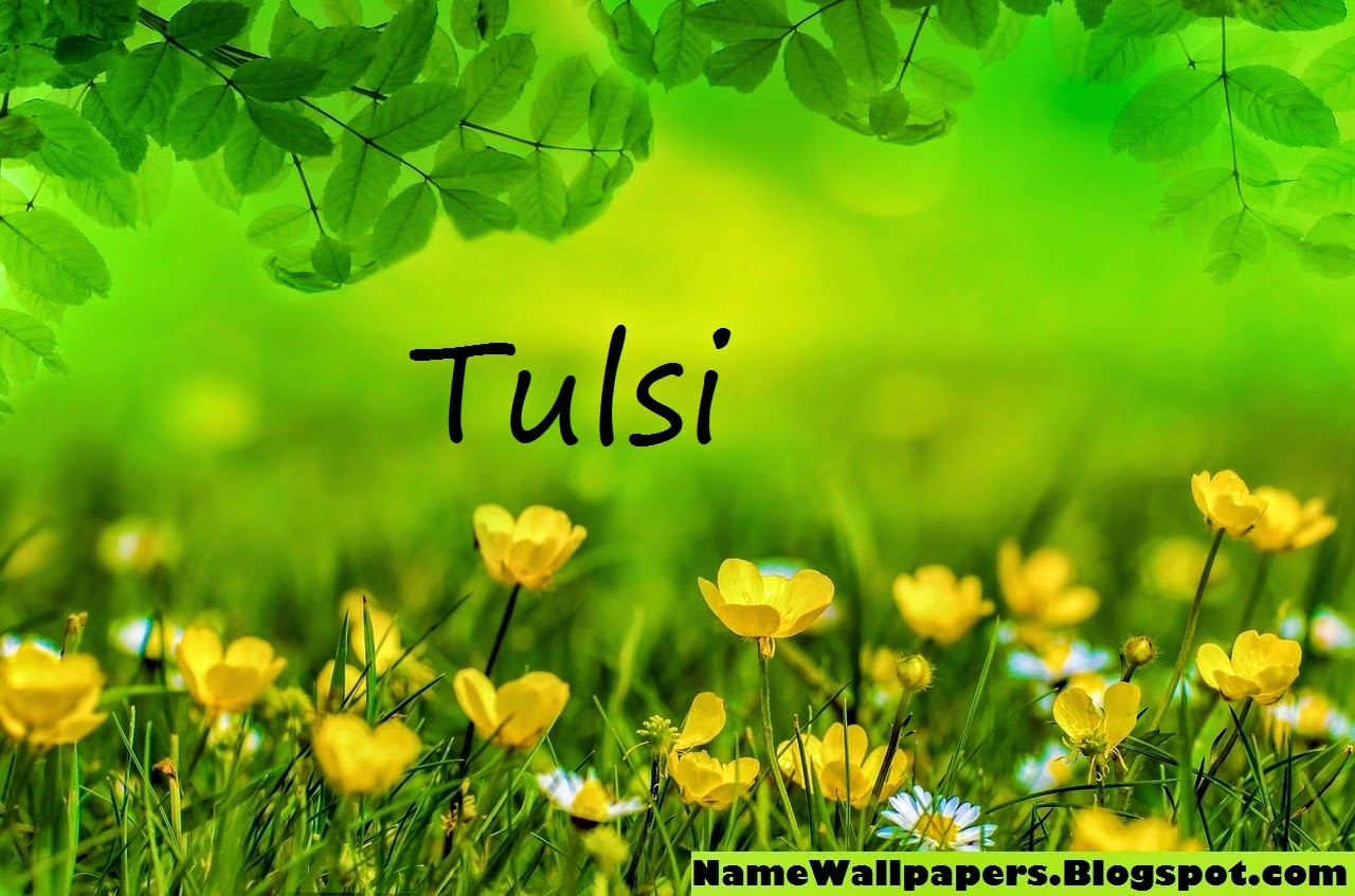 Tulsi Name Wallpapers Tulsi ~ Name Wallpaper Urdu Name Meaning Name ...