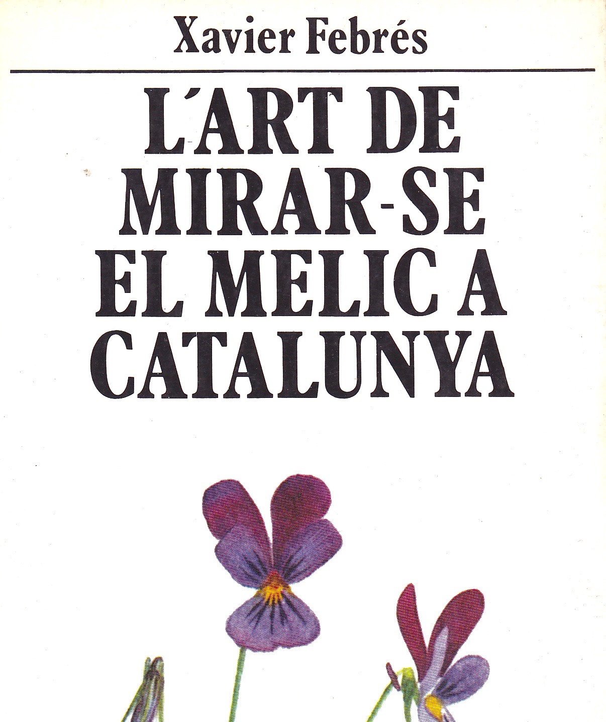 Apologia de la curiositat: El melic és un món, per alguns el centre del món