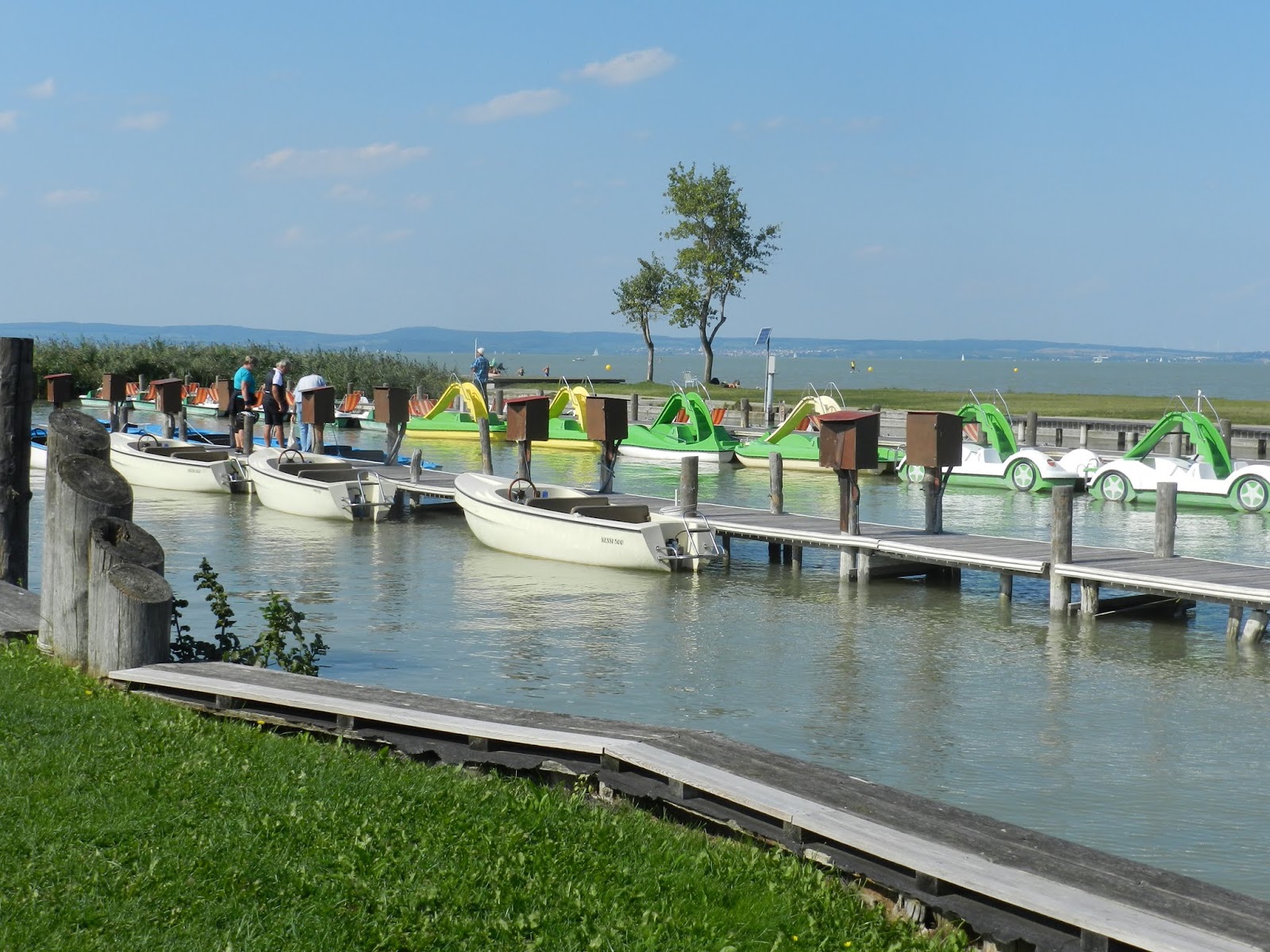 Austriackie morze – Neusiedler See ⑧