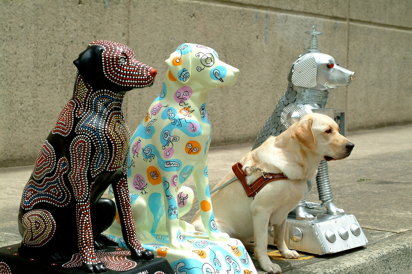 Guide Dogs 60 Tails Exhibition - January 2018 | Australian Dog Lover